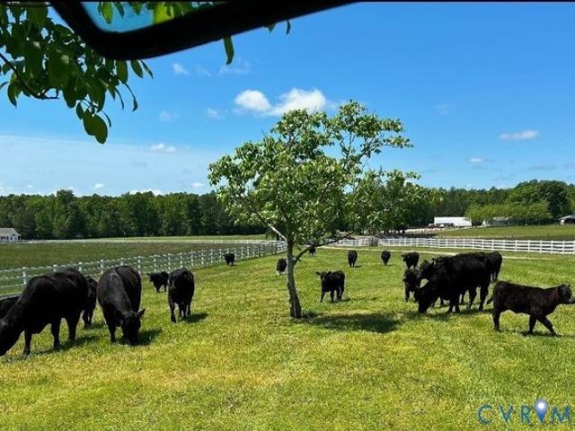 19609 and 19605 White Oak Rd, Sutherland, VA 23885