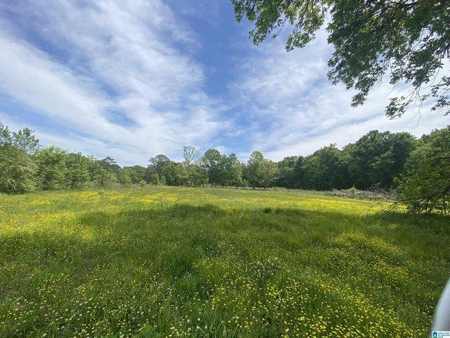1960 Highway 61, Columbiana, AL 35051