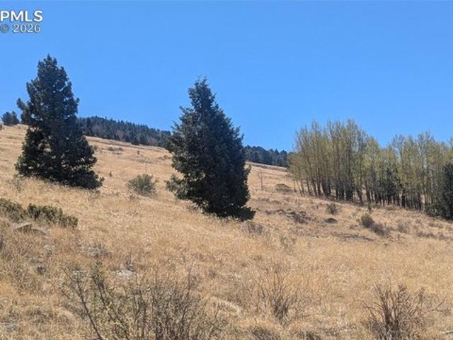1960 Troy Dr, Cripple Creek, CO 80813