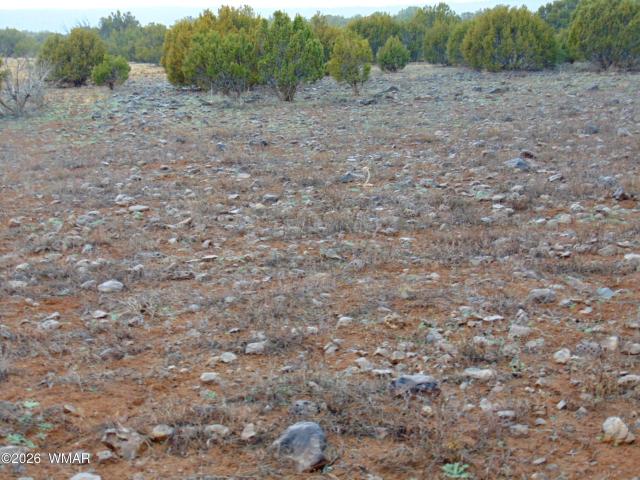 196 County Road 8206