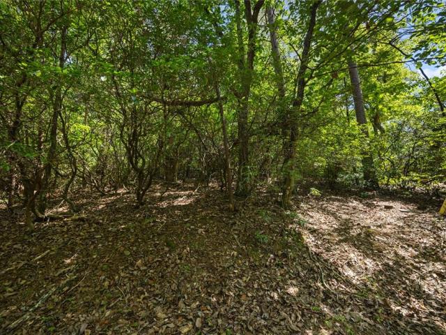 196 Cinnamon Fern Lane