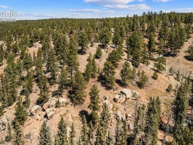 196 Beaver Creek Cir, Florissant, CO 80816