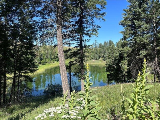 196 Belterra Ln, Bigfork, MT 59911