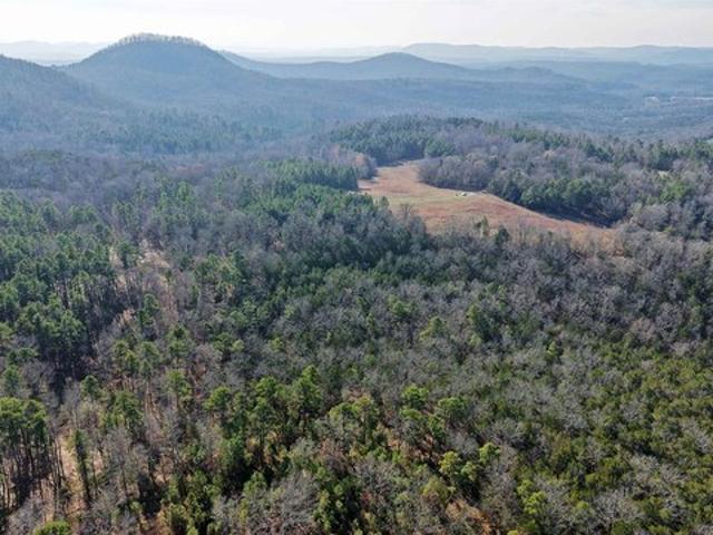 196 Gorby Rd, Calico Rock, AR 72519
