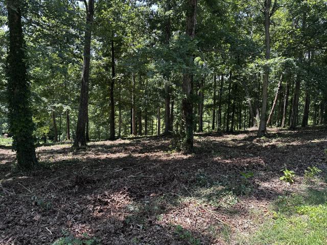 196 Fairway Circle