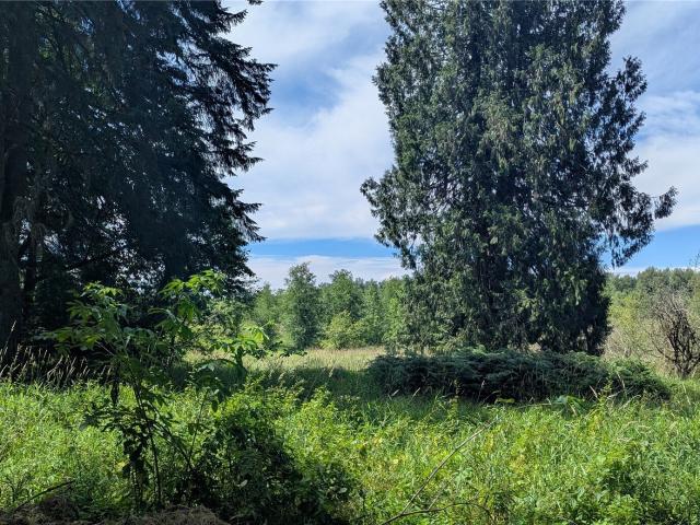 196 Jensen Rd, Onalaska, WA 98570 | MLS #2550