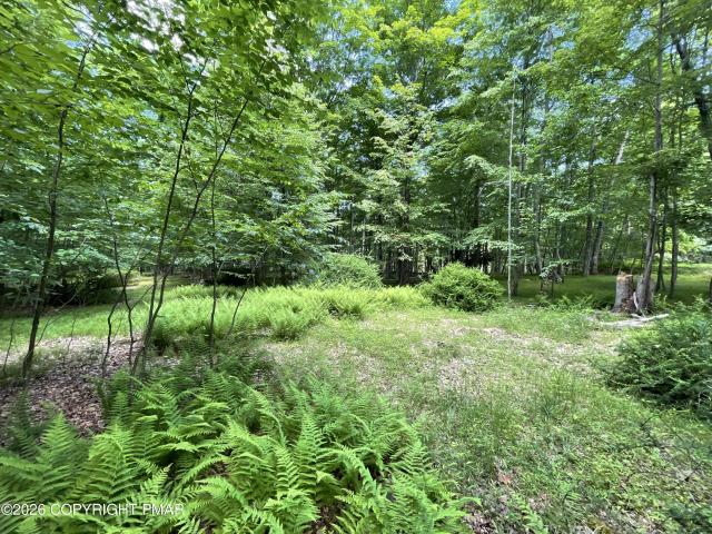 196 Stony Run Drive
