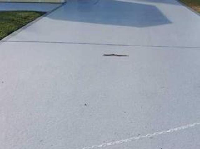 196 Plantation Dr #196, Titusville, FL 32780