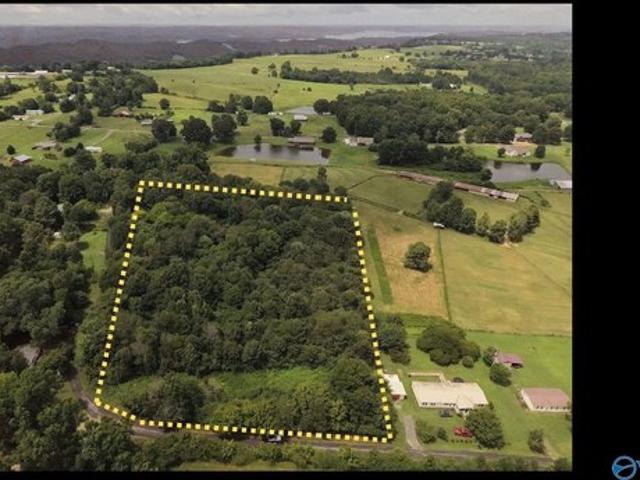 196 Rice Rd, Guntersville, AL 35976