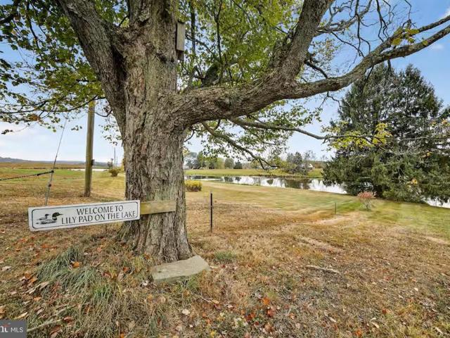 196 Woodchopper Lane