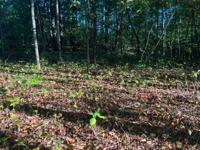 196 Woodstock Dr, Rutledge, TN 37861