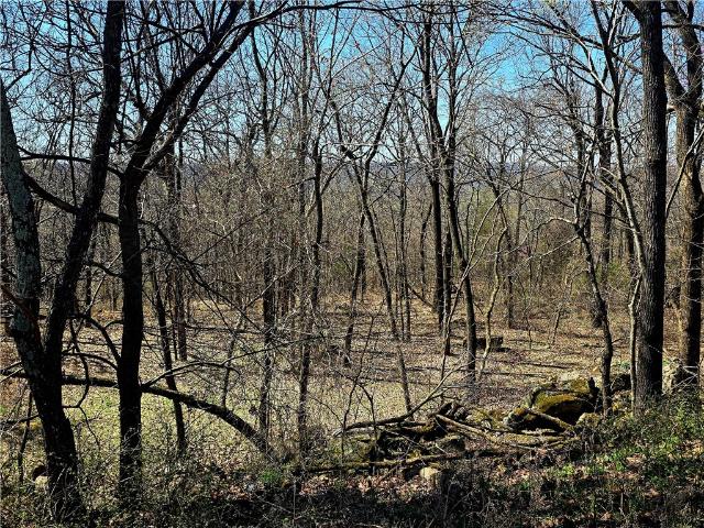 19743 Hale Mountain Road