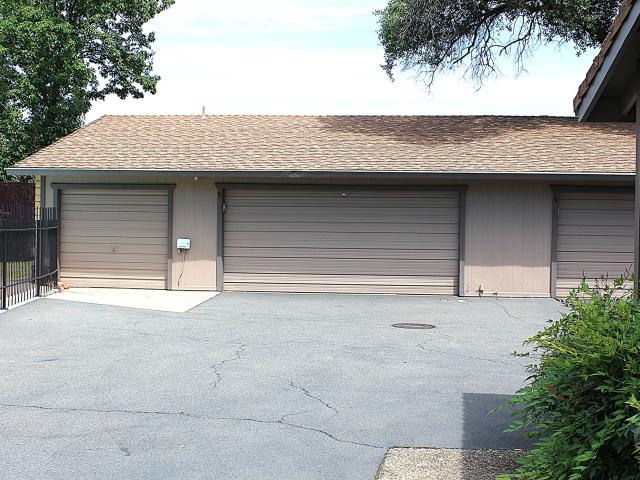 1975 Bechelli Lane