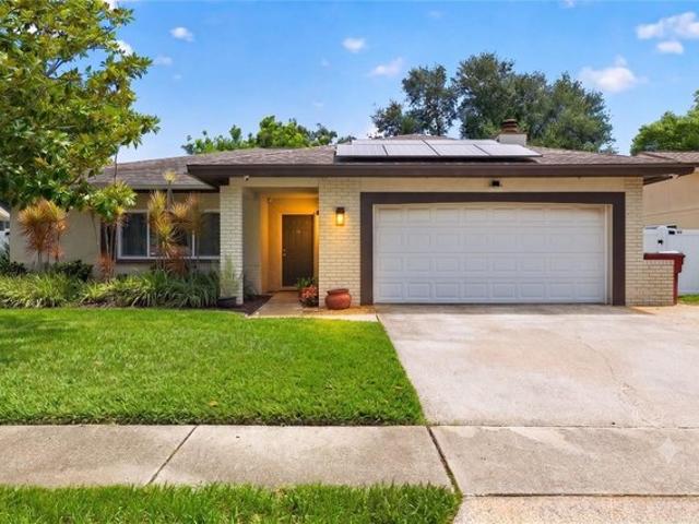 1977 Citrus Hill Rd, Palm Harbor, FL 34683