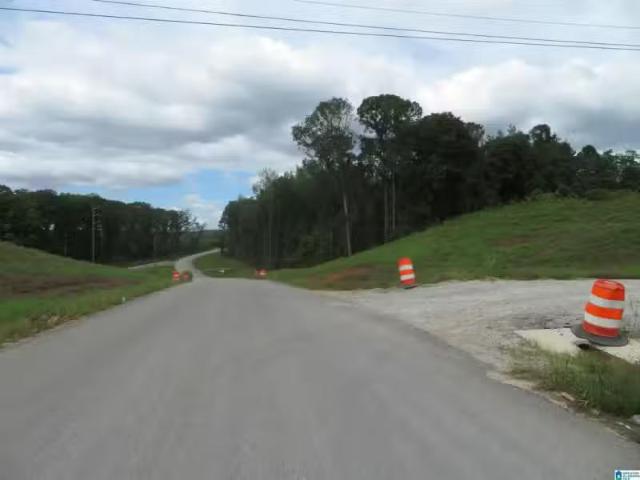 19785 HIGHWAY 11, WOODSTOCK, AL 35188 Vacant Land For Sale ML.