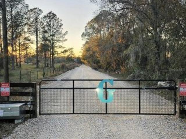 19788 NW 91st St, Alachua, FL 32615
