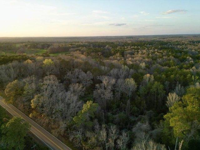 1979 County Road 2276, Glenwood, AL 36034