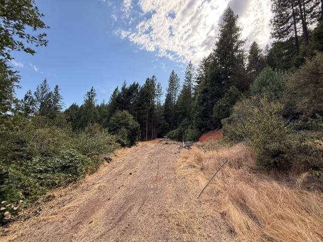 19707 Grizzly Creek Rd, Nevada City, CA 95959 | MLS #225099