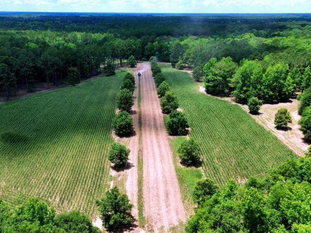 1970 Cross Swamp Road