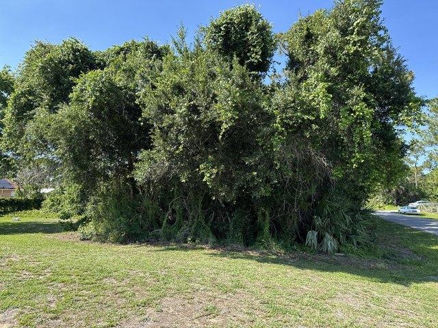 1970 Trapp Ave SE, Palm Bay, FL 32909