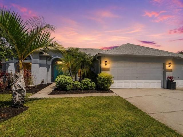 19717 Wyndham Lakes Dr, Odessa, FL 33556