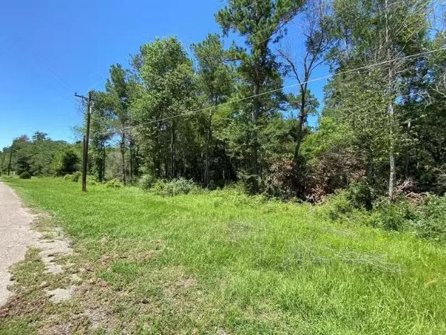 19725 W Lakeshore Dr, Magnolia, TX 77354 MLS 98141093