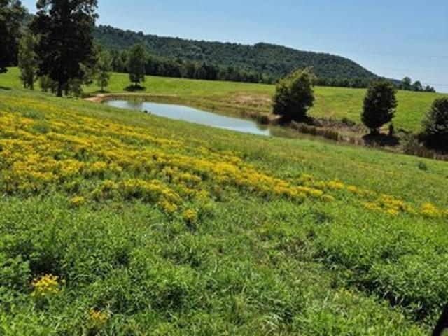 197 County Road 105, Athens, TN 37303