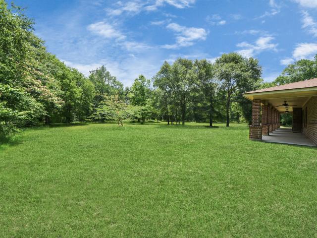 197 County Road 348