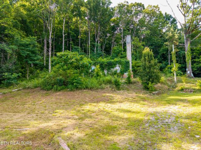 197 County Road 468