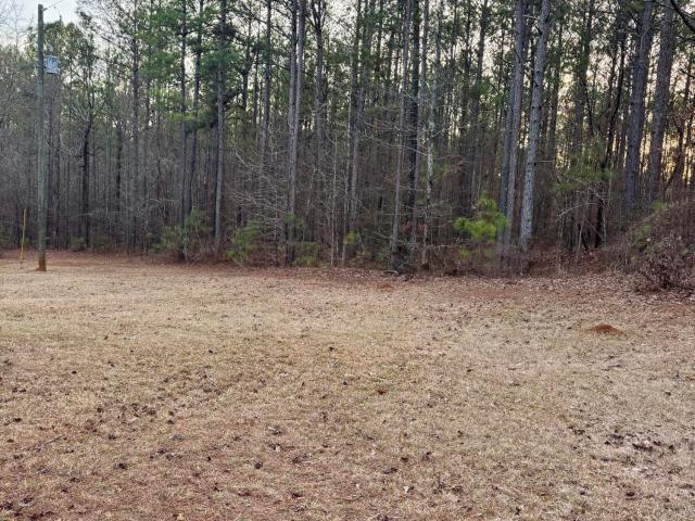197 Cherokee Trail, Forsyth, GA 31029 | MLS #183230