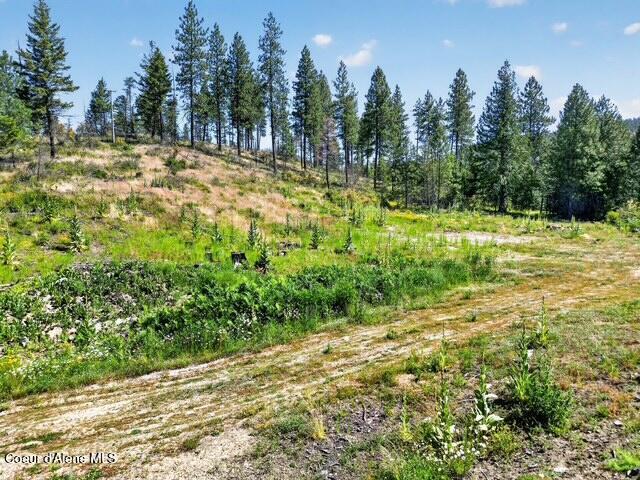 197 Schneiders Rd, Sagle, ID 83860 | MLS #26 7226