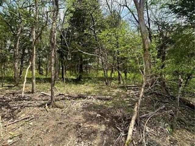 197 Sycamore Dr, Linn Valley, KS 66040