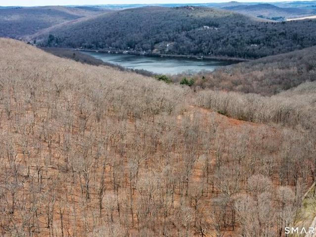 197A Tinker Hill Rd, Washington, CT 06777