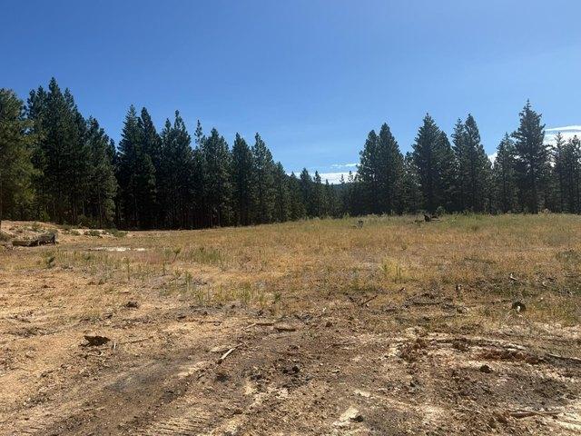 19869 Gaston Rd, Nevada City, CA 95959