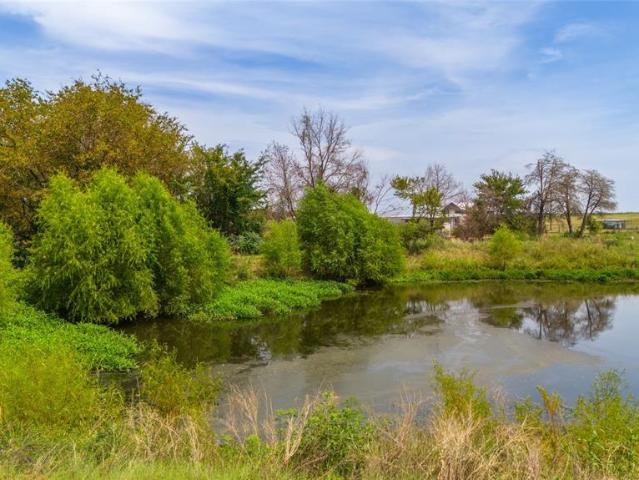 1987 Farm Road 900 N, Saltillo, TX 75478 | MLS #21217