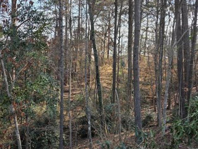 1987 Long Ridge Dr Lot 233, Macon, GA 31211