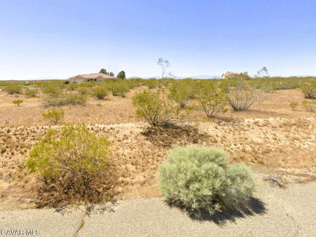 19882 Remos Court