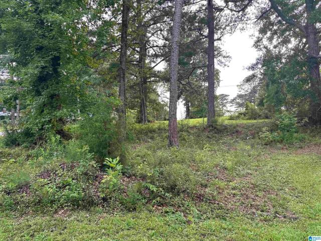 1988 County Road