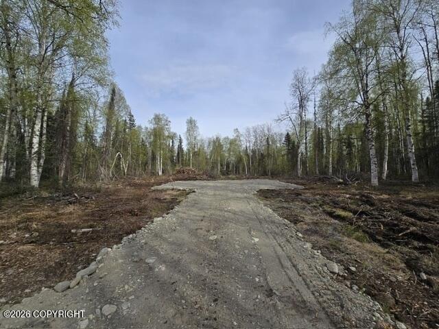 19806 E Caswell Cir, Willow, AK 99688
