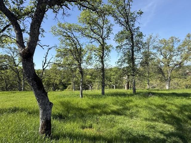 19816 Tedrock Mountain Pl, Cottonwood, CA 96022
