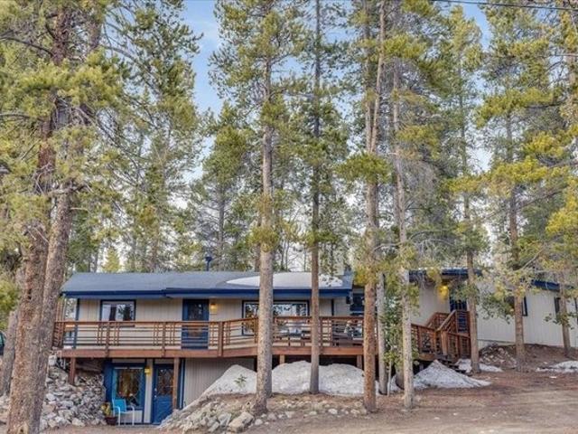 1981 Boreas Pass Rd, Breckenridge, CO 80424