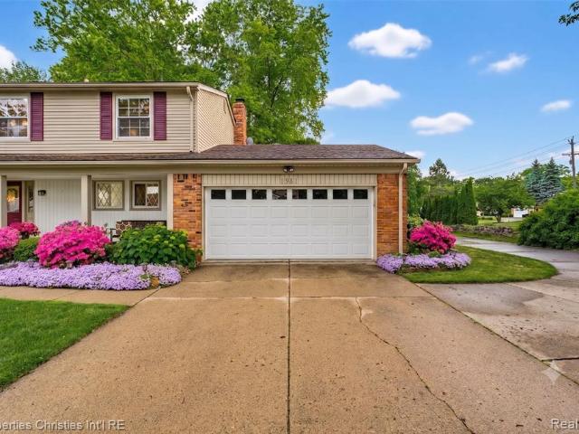 1981 Condor Drive