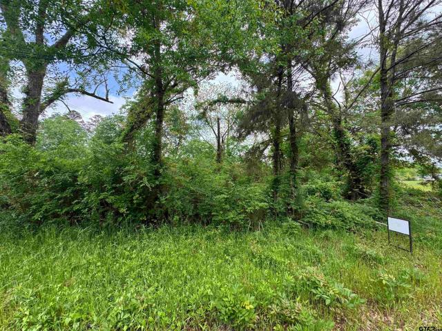 19821 Highway 135, Troup, TX 75789 | MLS #26005 | Compass