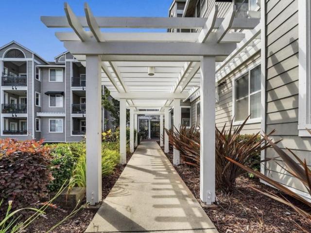 1982 W Bayshore Road 322