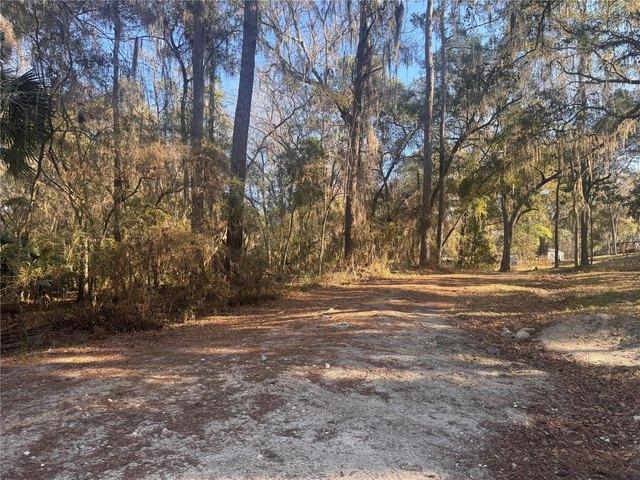 198th Ln, Fort McCoy, FL 32134