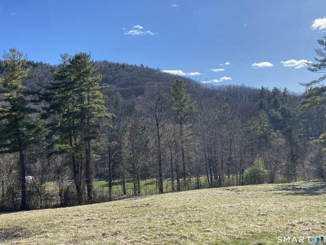 198 3 Beebe Hill Rd, Canaan, CT 06031