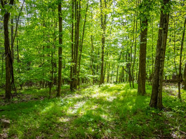 198 1 Beebe Hill Rd, Falls Village, CT 06031 | MLS #24009