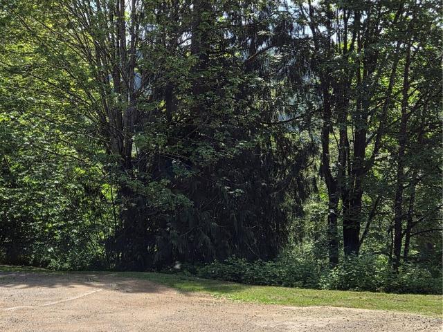 198 Cherry Lane