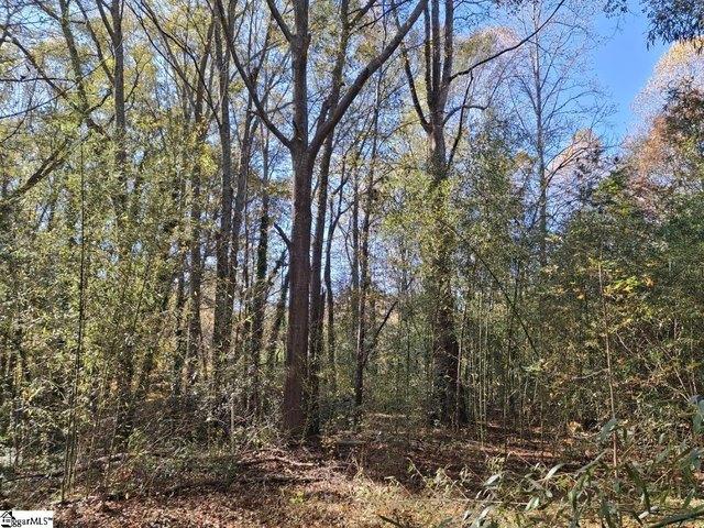 198 Black Snake Rd, Easley, SC 29640