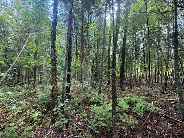 198 Green Ridge Rd, Caribou, ME 04736